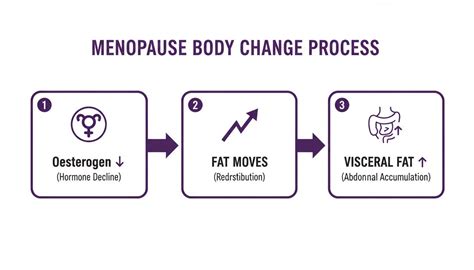 How To Lose Menopause Belly Fat A Science Backed Guide Trim