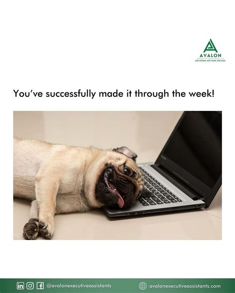Avalon Executive Assistants Llc On Linkedin Avalonexecutiveassistants Memesdaily Memes