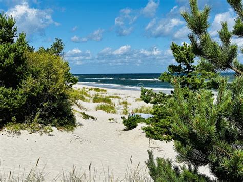 Wild Beach In Poland Beautiful Wild Beaches In Hel Wild Beach In
