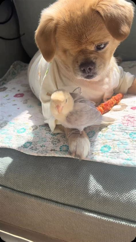 Yong 💖💖💖 Instagram