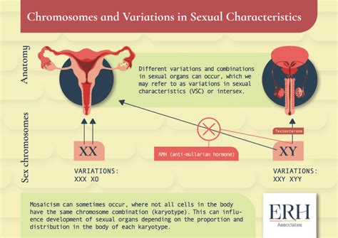 Variations In Sexual Characteristics Or Intersex Nz