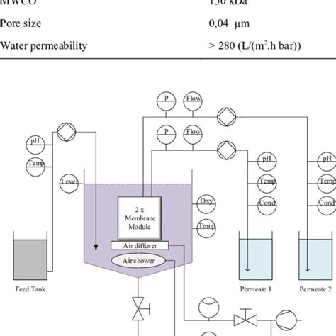 Flux And Tmp Of The Mbr Experiments Download Scientific Diagram