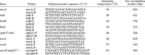 Nucleotide Sequences And Amplicon Sizes For The Staphylococcus Aureus Download Scientific