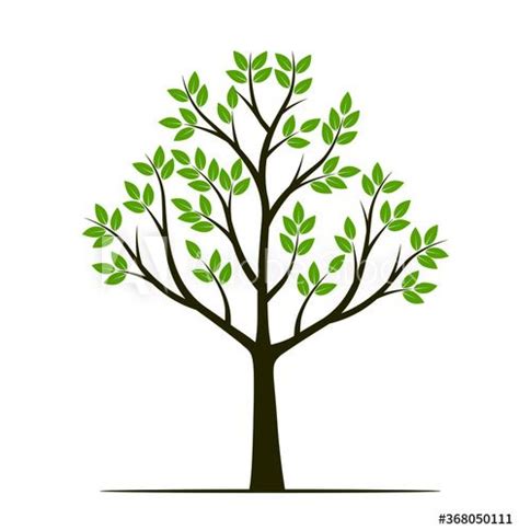 Shape Of Tree With Leaves Fruits And Roots Vector Outline Illustration Plant In Garden AD