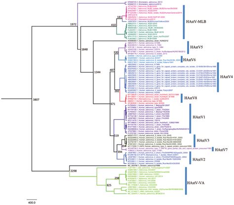 Bayesian Markov Chain Monte Carlo Tree Of The Open Reading Frame 2