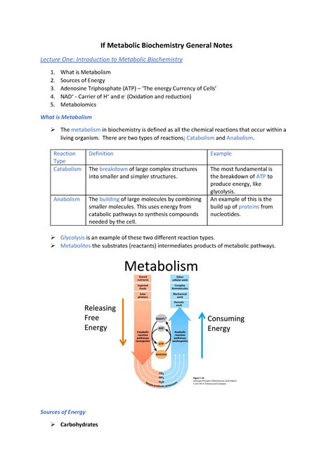 Metabolic Biochemistry Notes Warning Tt Undefined Function 32 Warning Tt Undefined