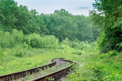 Premium Photo Railroad Passing Through Forest