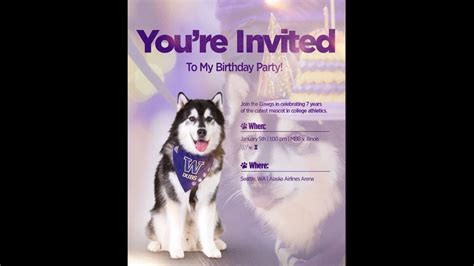 Happy Birthday Dubs Uw Mascot Turns 7 Years Old