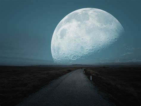 Calendrier De La Lune 2025 Zen