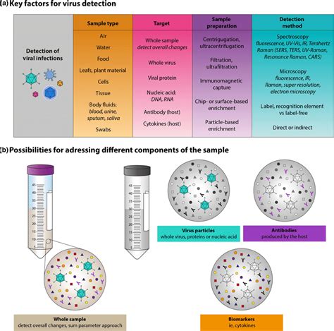 A Overview Of Different Aspects Relevant For Detection Of Viral Download Scientific Diagram