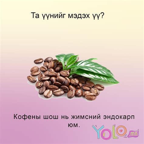 ФОТО Та үүнийг мэдэх үү №2