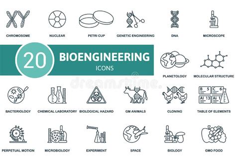 Bioengineering Icon Outline Set Line Bioengineering Icon Collection Stock Vector Illustration