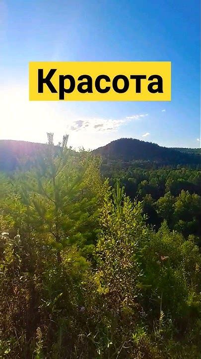 Красота Сибири сибирь тайга красота природа пейзаж семьявдеревне жизньвдеревне вдеревне