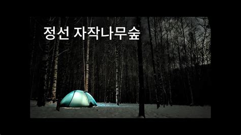 정선 자작나무숲 만항재쉼터 경유 Youtube