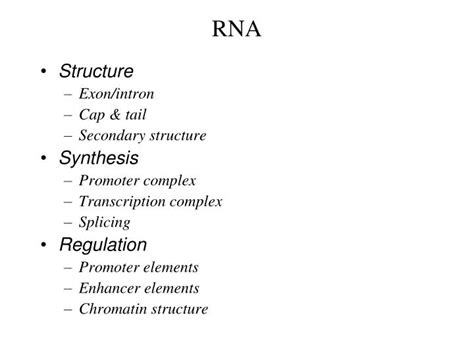 PPT RNA PowerPoint Presentation Free Download ID