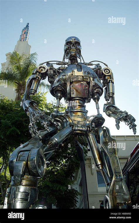 Terminator 3 Robots Terminator 3 Robots