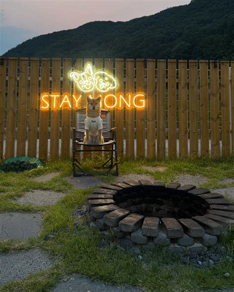 애견동반펜션 애견독채펜션 상주펜션 스테이몽 하얀 눈이 소복이 쌓인 스테이몽 ️ 따뜻한 객실에서 하얀 풍경을 감상해보세요 강아지들과 150평 마당에서 신나는 눈놀이까지