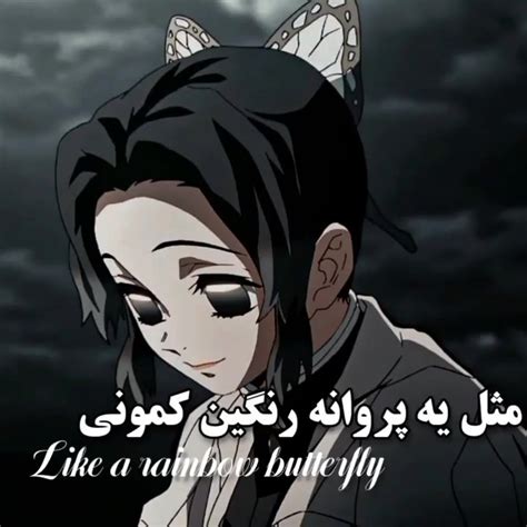 شینوبو فیلم ویسگون