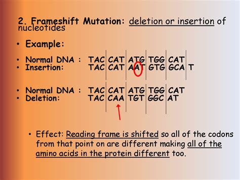 Voorbeeld Van Frameshift Mutatie