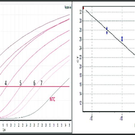 Rt Qpcr Calibration Curve Of Positive Control For High Plains Wheat Download Scientific Diagram