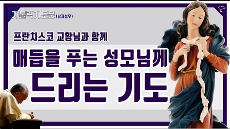 가톨릭 기도문 매듭을 푸는 성모님께 드리는 기도 프란치스코 교황님과 함께 남자성우 Youtube