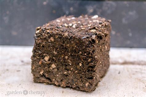 These Easy Economical Soil Blocks Will Change How You Garden Garden Therapy