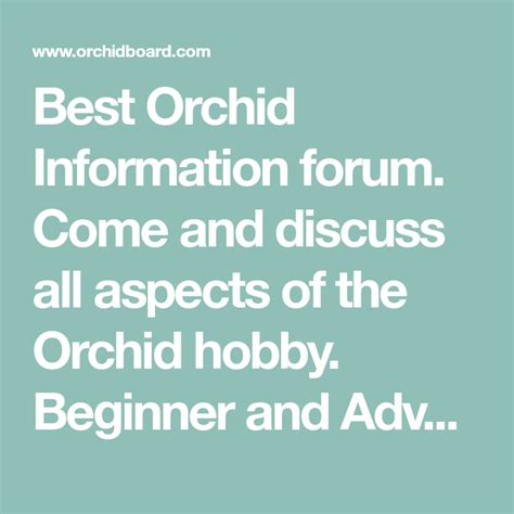 Best Orchid Information Forum Come And Discuss All Aspects Of The Orchid Hobby Beginner And