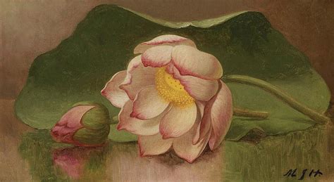 Lotus Blossom Painting By Martin Johnson Heade Fine Art America