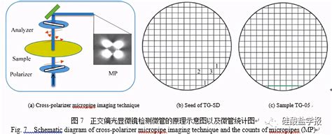 无微管缺陷六英寸sic单晶的制备 联盟动态 中关村天合宽禁带半导体技术创新联盟