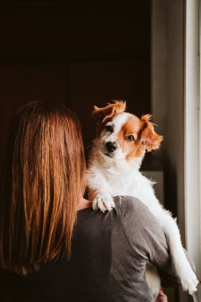 1100 Poco Chica Besando A Su Perro Fotografías De Stock Fotos E