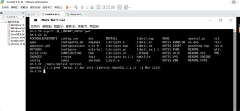 蔡笃俊实验二 OpenSSL API使用 acacacac 博客园