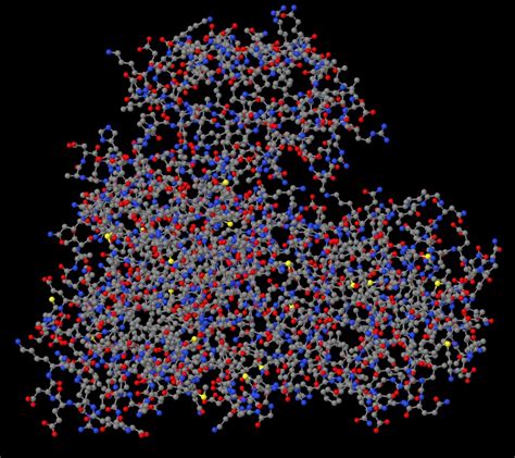Human Phosphoglucomutase 3 Protein Molstruc