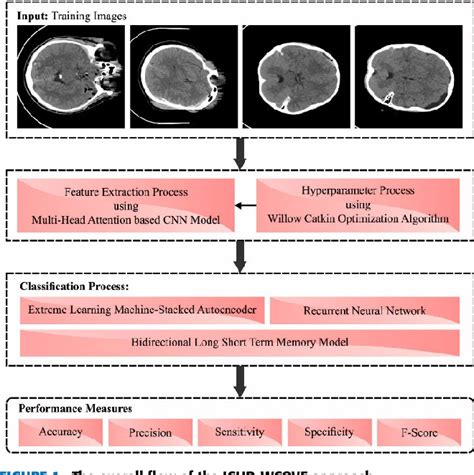 Figure 1 From Intracranial Haemorrhage Diagnosis Using Willow Catkin