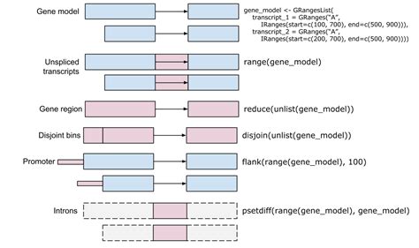 Genomics In R