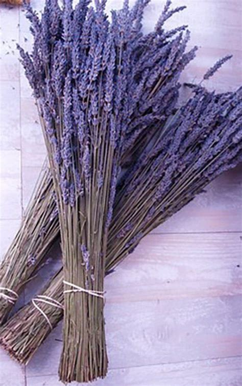 Sale Lavender 3 5oz Dried 1 Bunch 300 Stems Bundle Fragrant Bouquets