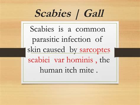Scabies Pptx