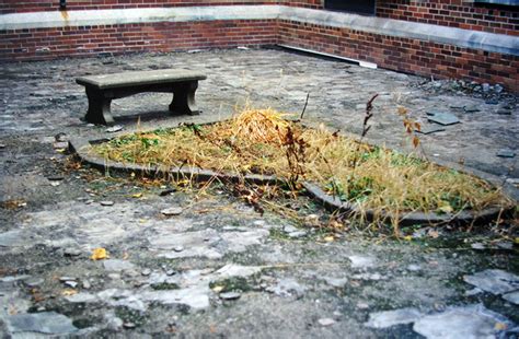 Nailhed Vadd Ass Mutha