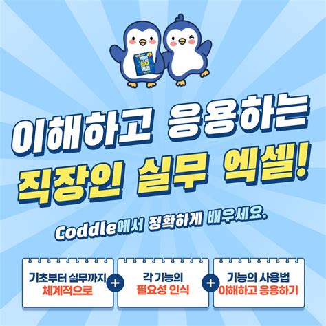 로사쌤의 컴교실 ♣ Coddle 로사쌤의 컴교실 실무 엑셀 수강생 모집 Coddle에서 실무 엑셀