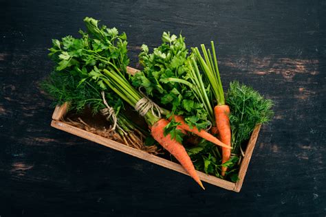 신선한 당근 파 슬 리와 딜입니다 유기 음식입니다 에 검은 배경 최고의 볼 수 있습니다 텍스트에 대 한 여유 공간입니다 0명에 대한 스톡 사진 및 기타 이미지 Istock