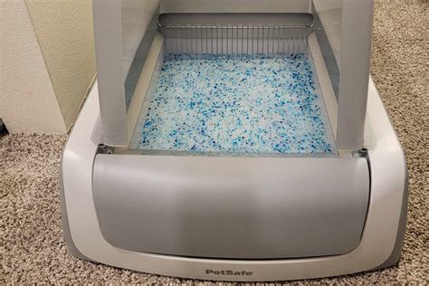 Best Automatic Kitty Litter Box Ibal