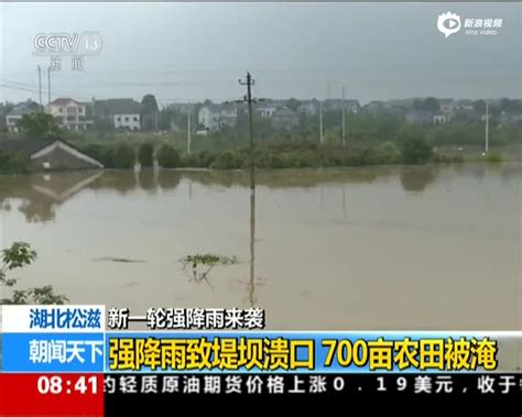 湖北：新一轮强降雨来袭——进入梅雨期 多地遭遇暴雨手机新浪网