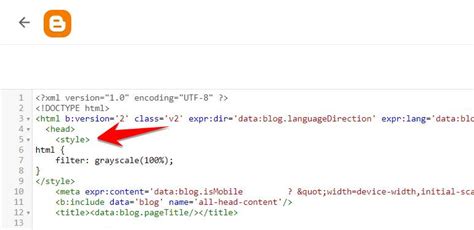 Code chuyển giao diện Website sang nền trắng đen để tưởng nhớ hoặc để Quốc tang AnonyViet