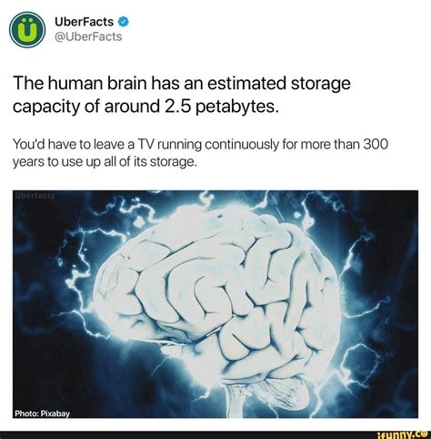 The Human Brain Has An Estimated Storage Capacity Of Around 2 5