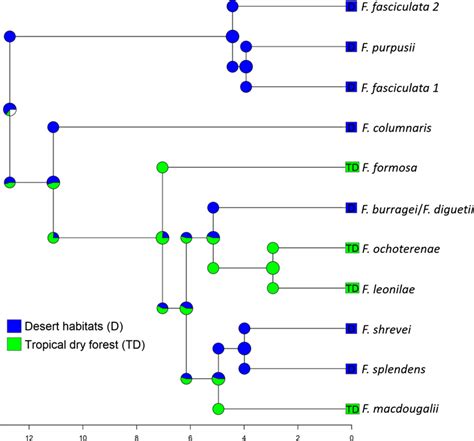 Estimation Of Ancestral Habitat Across The Fouquieriaceae Phylogeny
