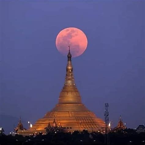 လမ္းမွန္ညႊန္ျပ ျမတ္ဗုဒၶ