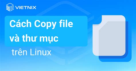 5 Ví Dụ Sử Dụng Lệnh Copy File Trong Linux Sao Chép đễ Hiểu