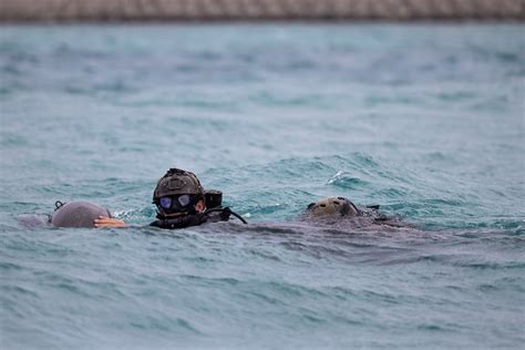 Dvids Images 3d Reconnaissance Battalion Diver Propulsion Device