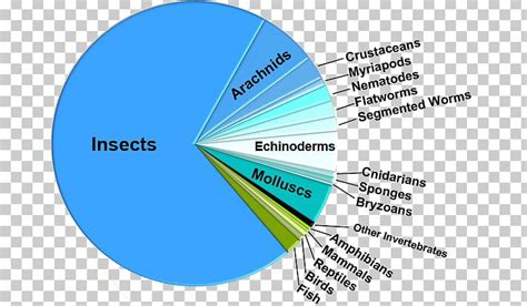 Pie Chart Insect Biology Species Diversity Png Clipart Angle Animal