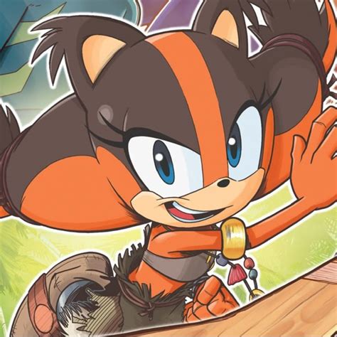 Sticks Images From Sonic Boom 8 Hedgehog Sonic Funny Sonic Boom