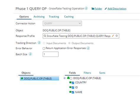 Article Getting Started With The Snowflake Connector Boomi Community